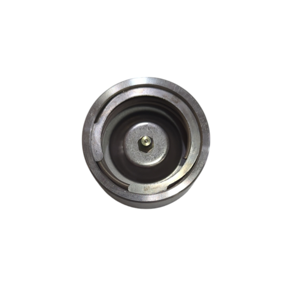 EZ Loader Bearing Protector Screw On Grease Fitting Cap for 6 Lug Hub ...